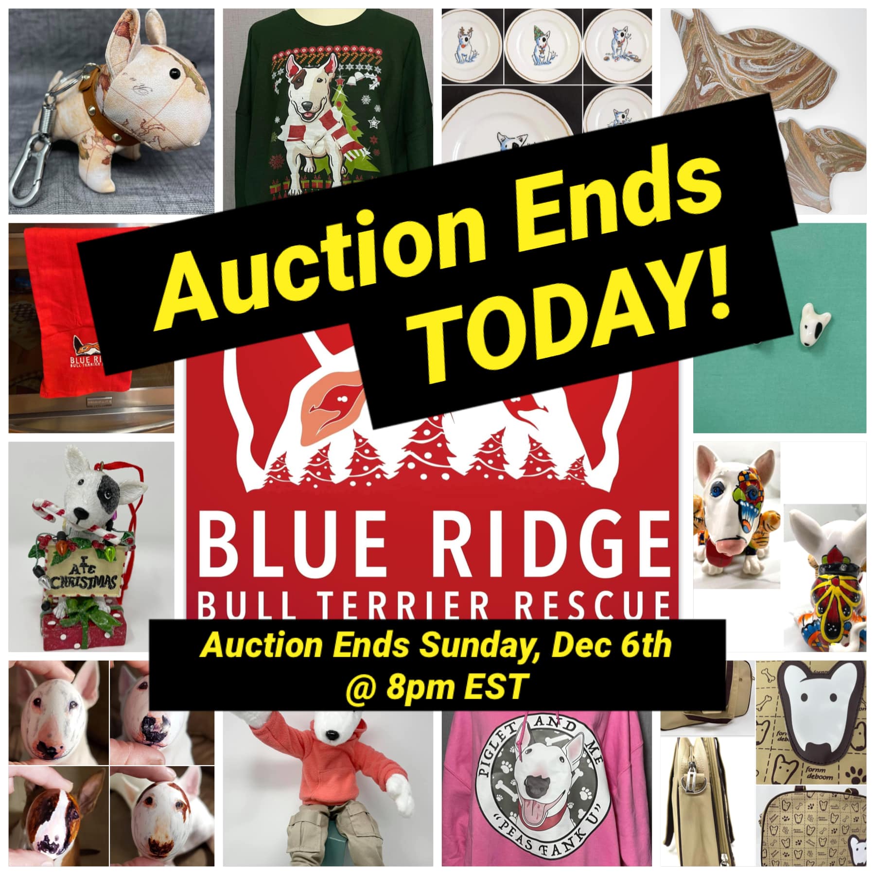 Auction Ends Today! – Blue Ridge Bull Terrier Rescue